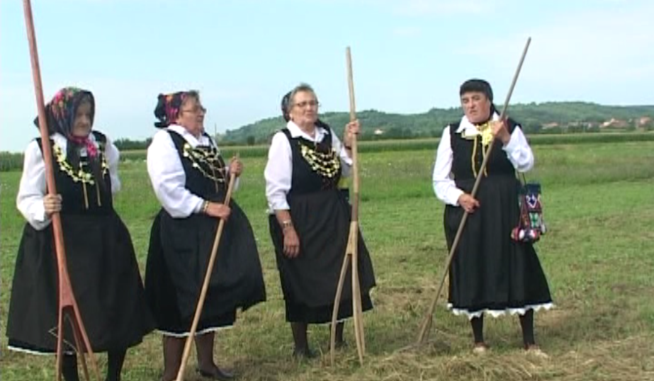 Običaj košnji trave – Selo.hr