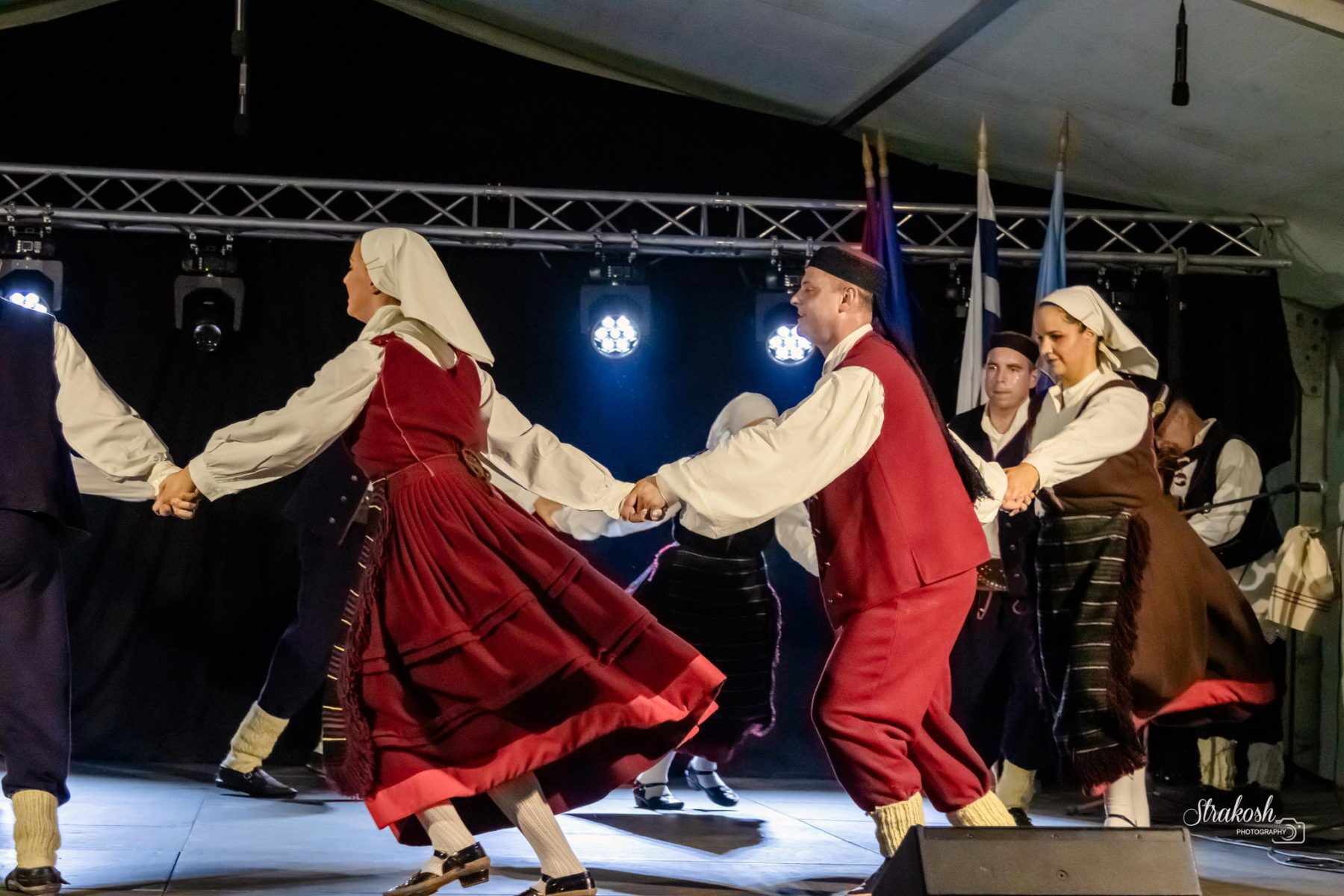 23. Čepinski suncokreti – Selo.hr