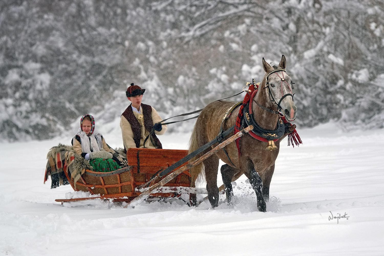 Konjske saonice – Selo.hr