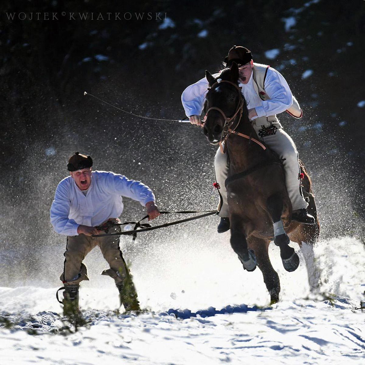 Konjske saonice – Selo.hr