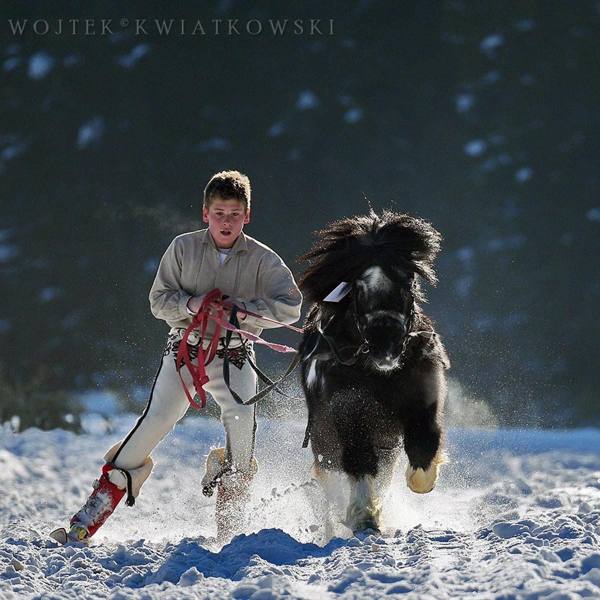 Konjske saonice – Selo.hr