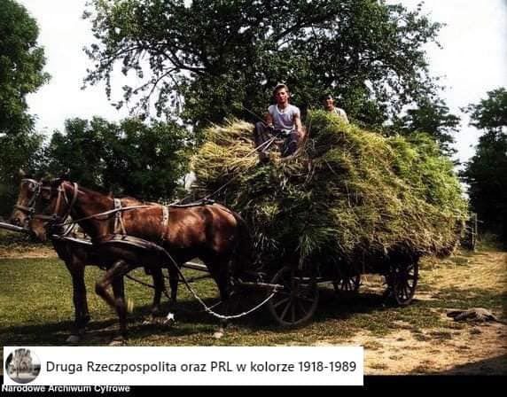 Život na selu Poljske – Selo.hr