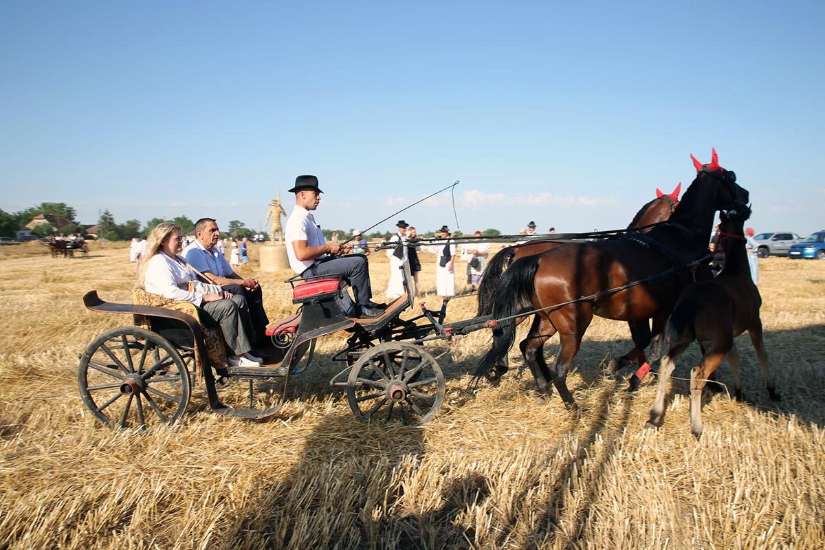 Takmičenje risara – Selo.hr